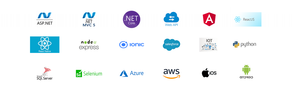 Software Development Services – Maple Software Pvt Ltd