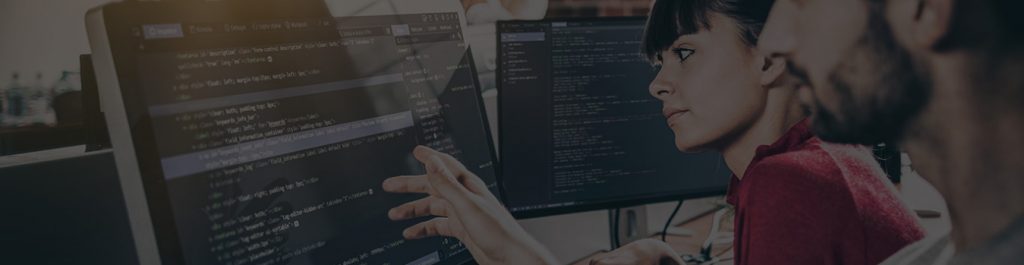 Software Development Services – Maple Software Pvt Ltd