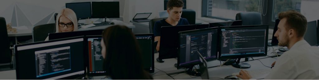 who we are – Maple Software Pvt Ltd